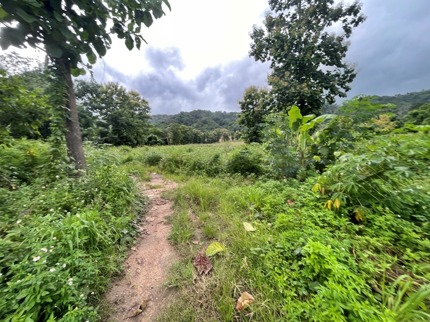 ทรัพย์สถาบันโดย Alphacap ที่ดิน ถนนฝาง-แม่จัน (ทล.1089)