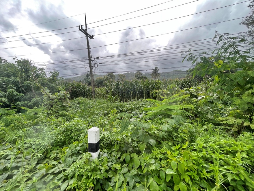 ทรัพย์สถาบันโดย Alphacap ที่ดิน ถนนฝาง-แม่จัน (ทล.1089)