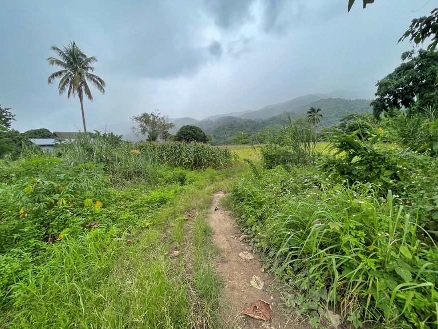 ทรัพย์สถาบันโดย Alphacap ที่ดิน ถนนฝาง-แม่จัน (ทล.1089)